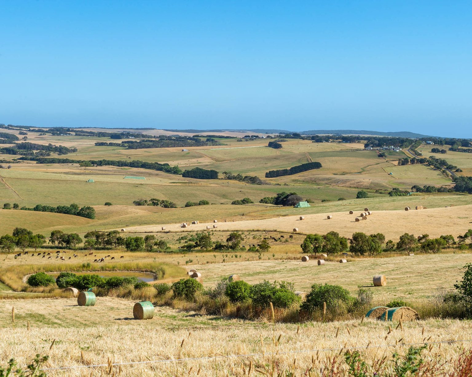 Pet Cremation Melbourne & Pet Burial Services | Pets E Ternal Cemetery